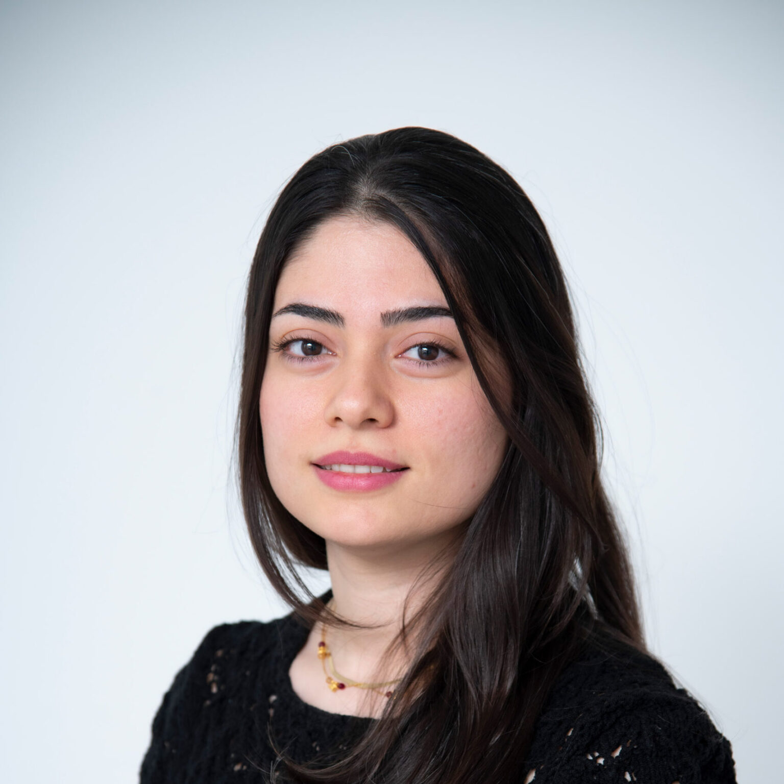 Raman Spectra Reference Library For Microplastics Eximious